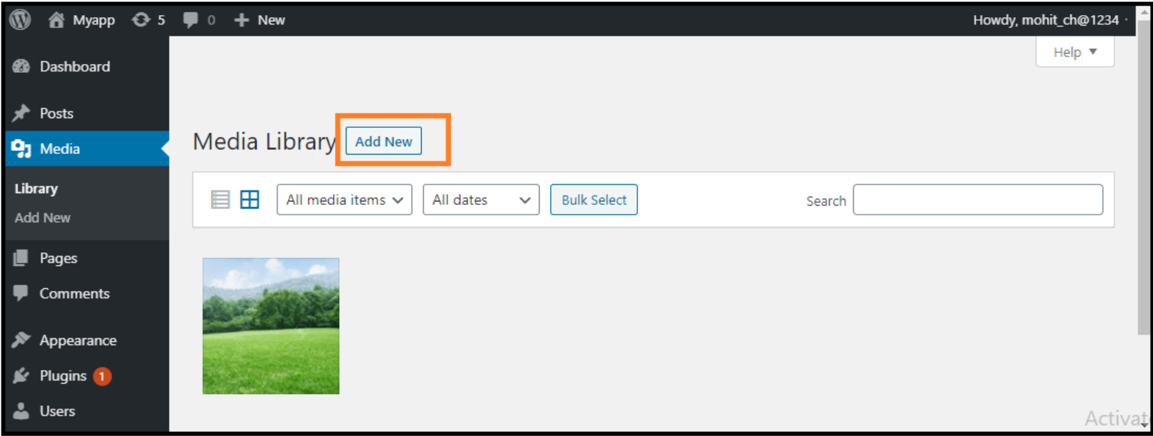 Exploring The WordPress Media Library: A Comprehensive Guide | Web Hosting Malaysia, Server ...