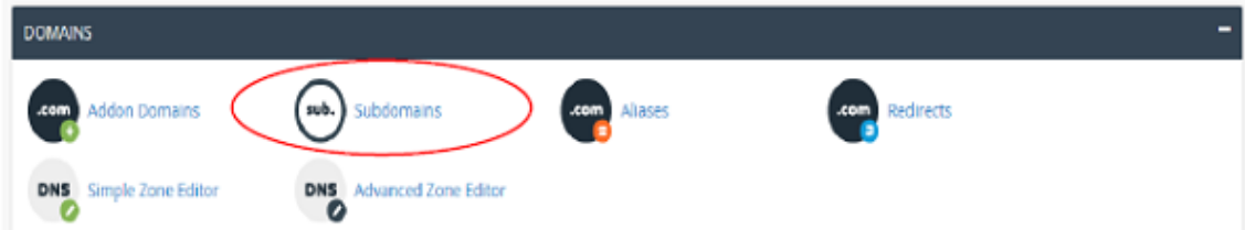 Creating And Managing Subdomains In Cpanel A Step By Step Guide Web