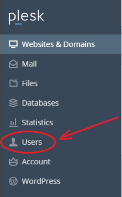 Creating New User Roles In Plesk A Step By Step Guide Web Hosting